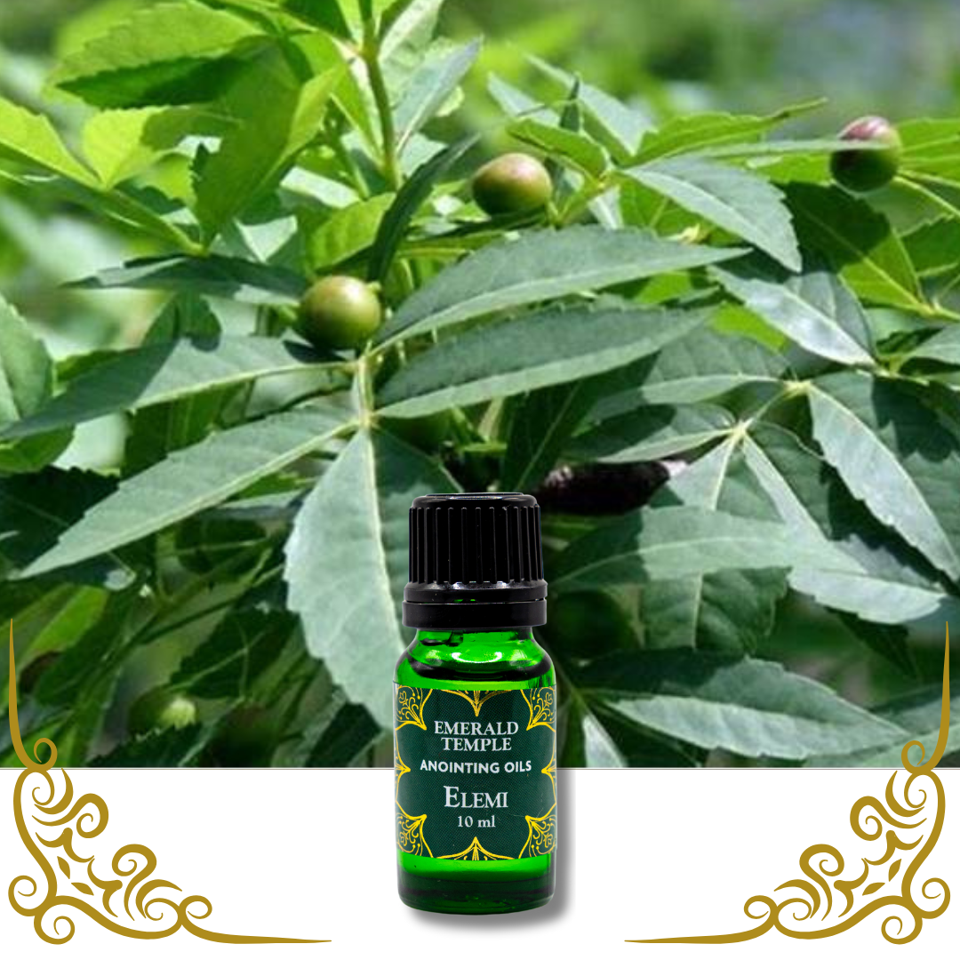 Elemi: Keeper of the Mystical Dreamtime – Emerald Temple