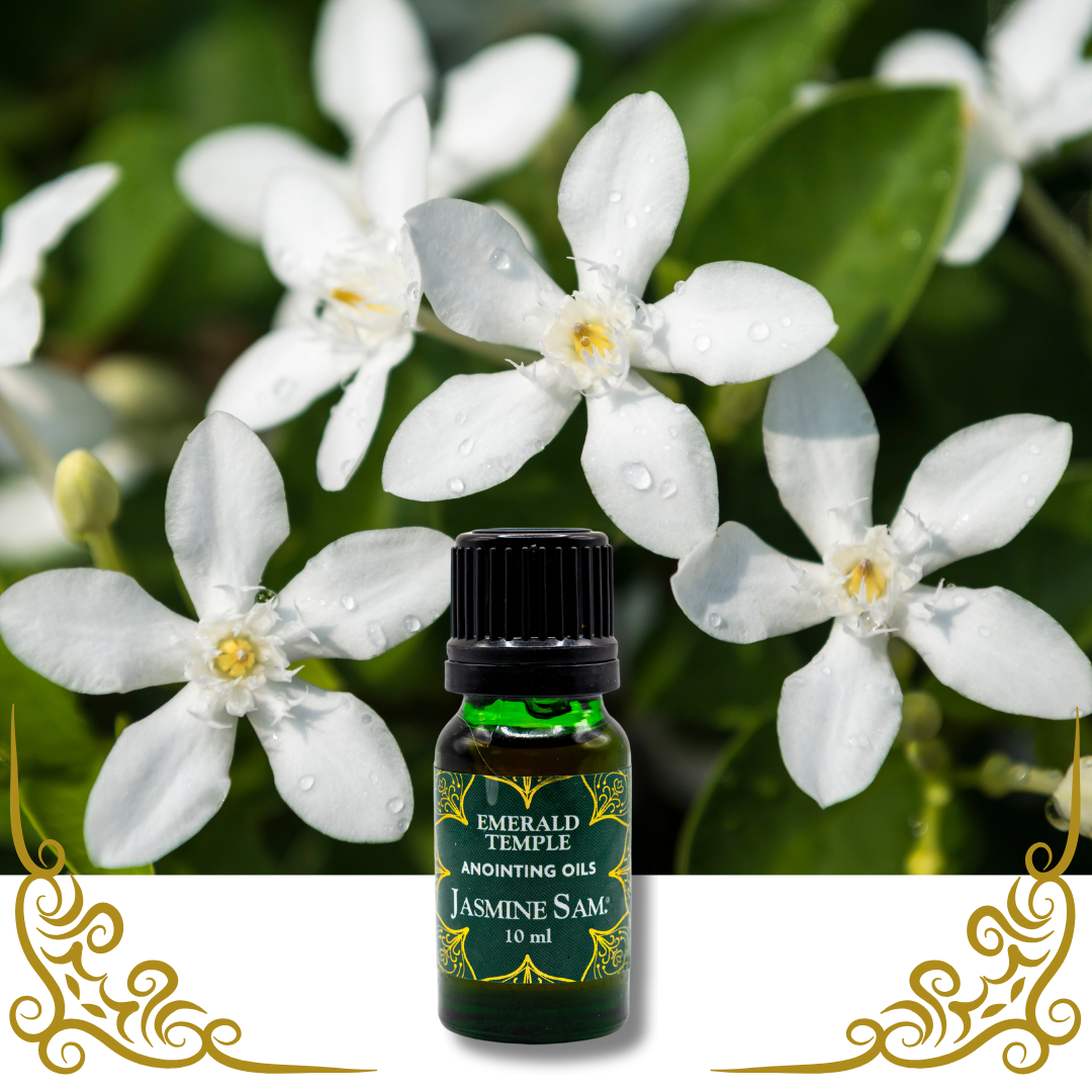 Jasmine Sambac: Queen of the Night – Emerald Temple