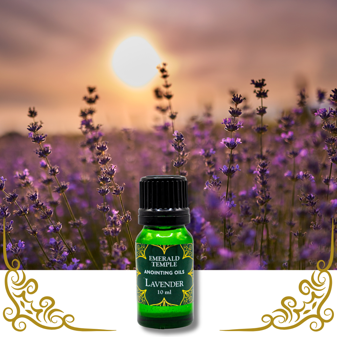 Lavender: Keeper of the Violet Flame – Emerald Temple