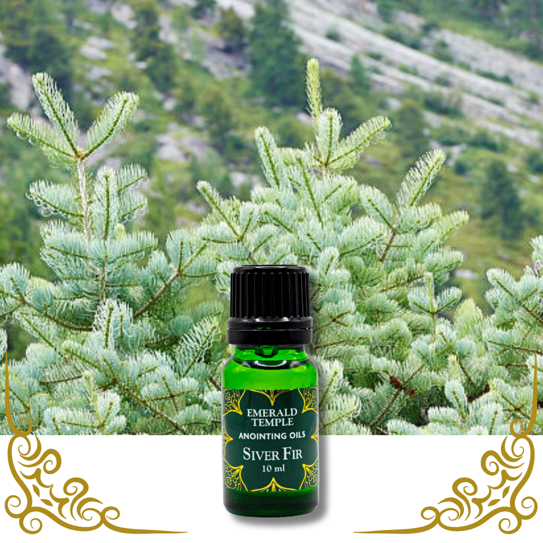 Silver Fir: Spirit of Protection – Emerald Temple