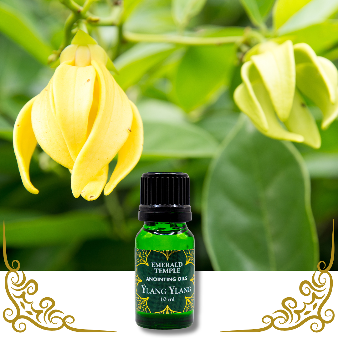 Ylang Ylang: Temple of Sensuality – Emerald Temple