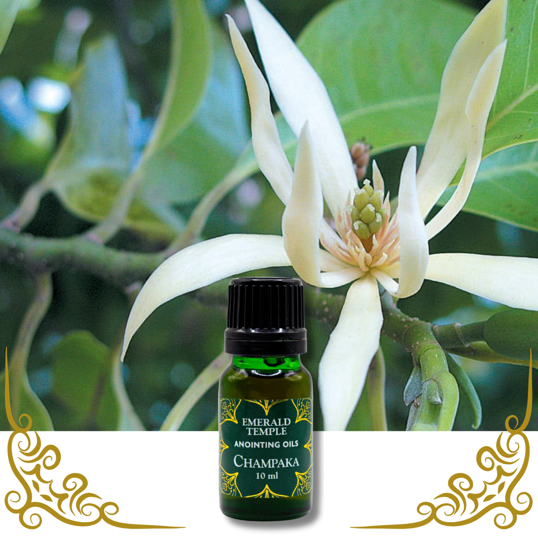 Champaka: The Essence of Joy – Emerald Temple